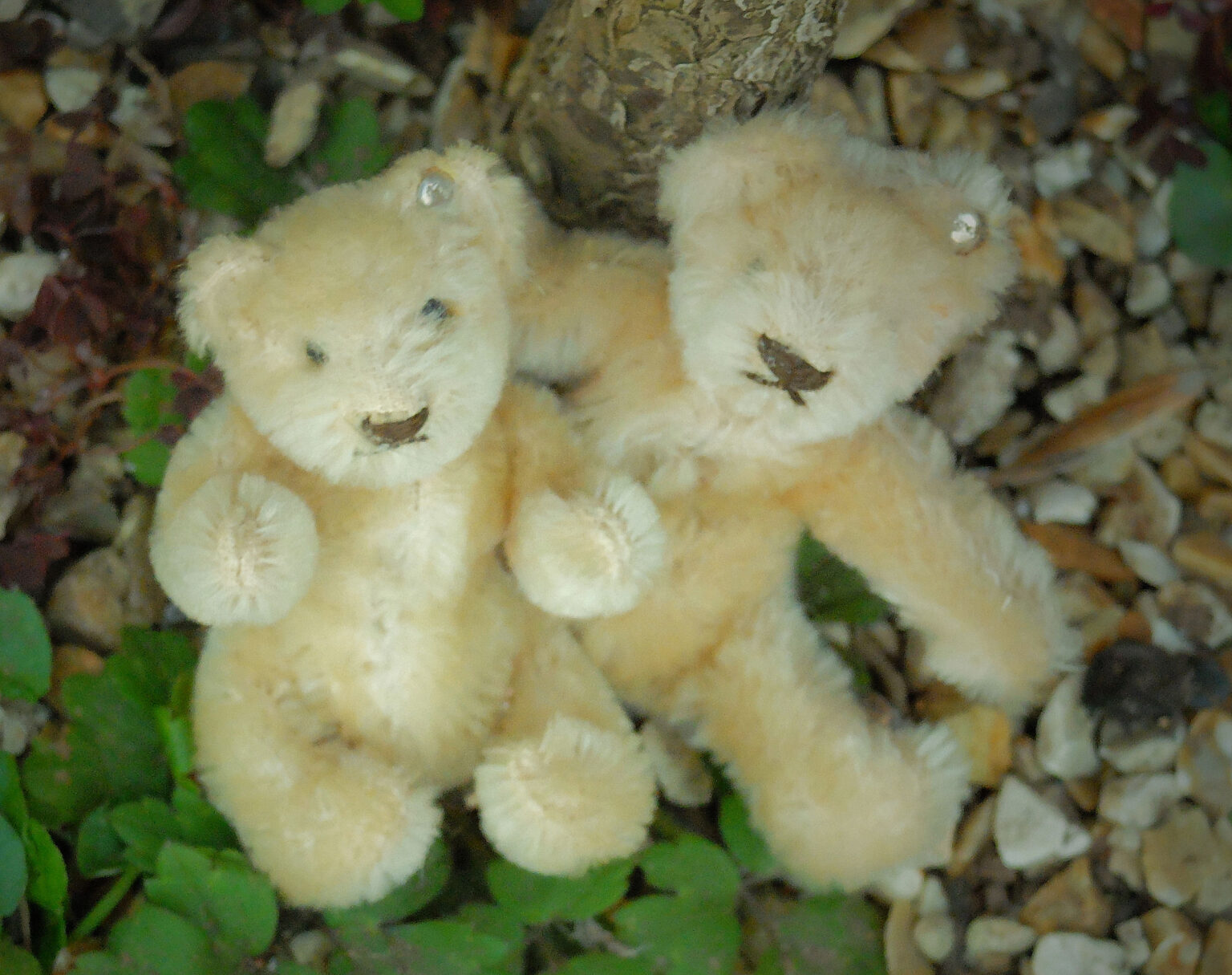 Miniature Steiff Bears – Old Teddy Bear Shop