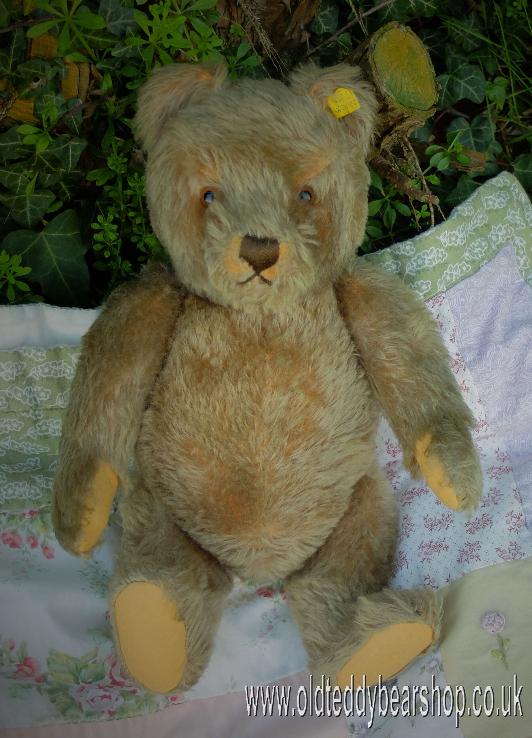 Large old Steiff Bear with button in ear, stock label 1950s for sale ...