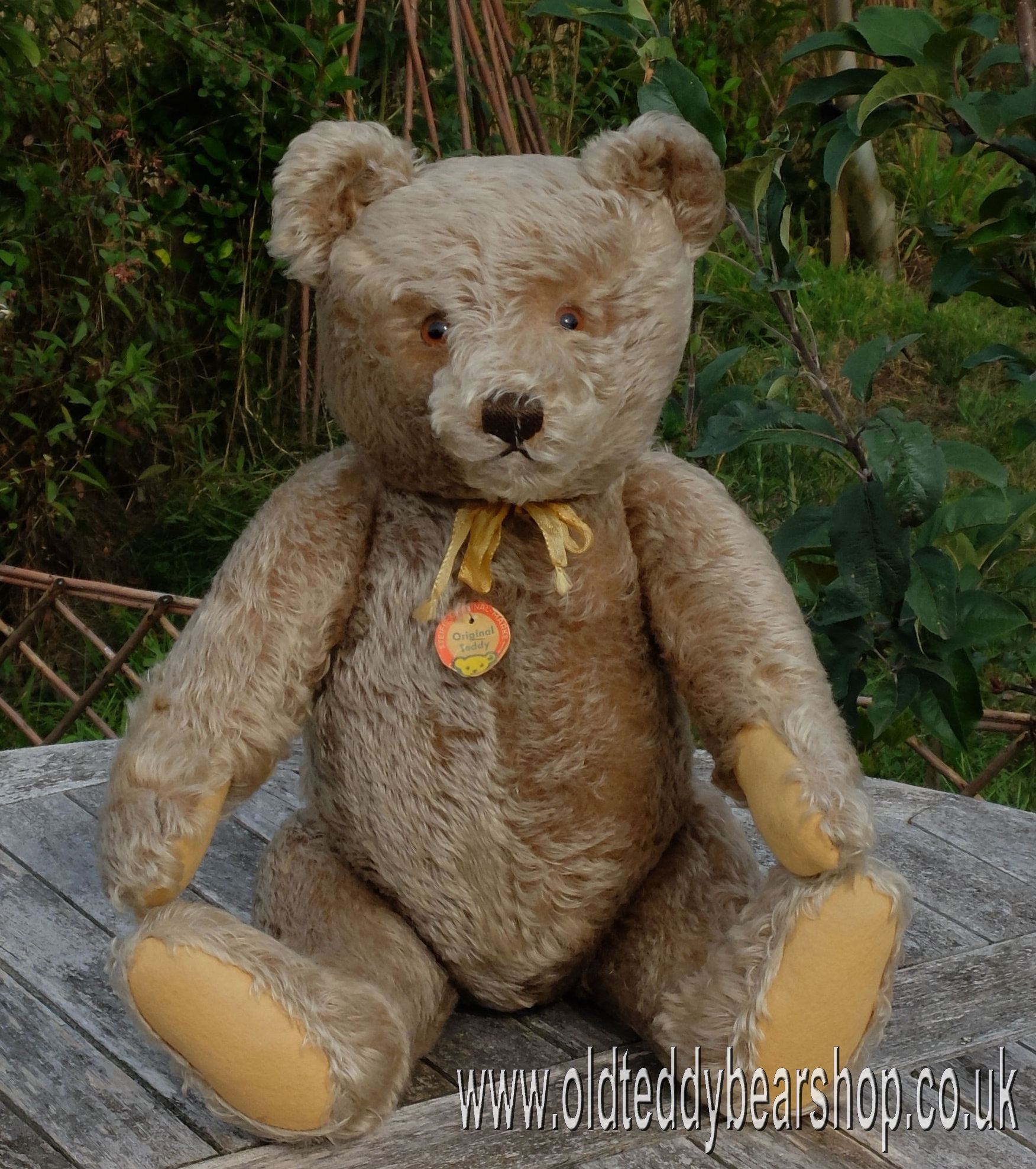 Large rare old Steiff bear 1950s for sale – Old Teddy Bear Shop