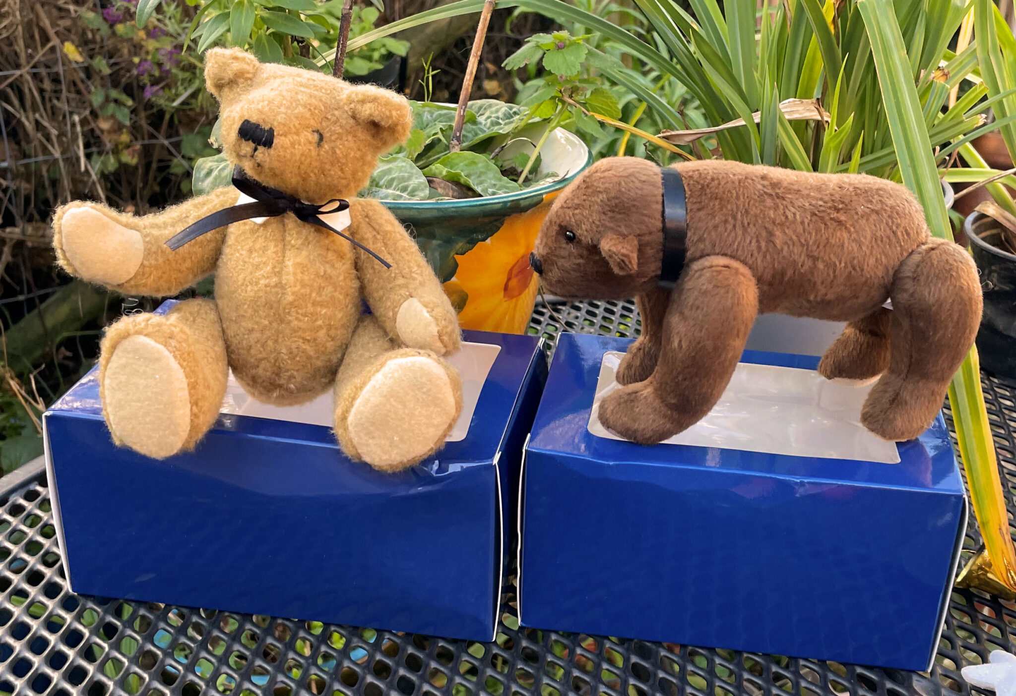 Small Vintage Bears – Old Teddy Bear Shop