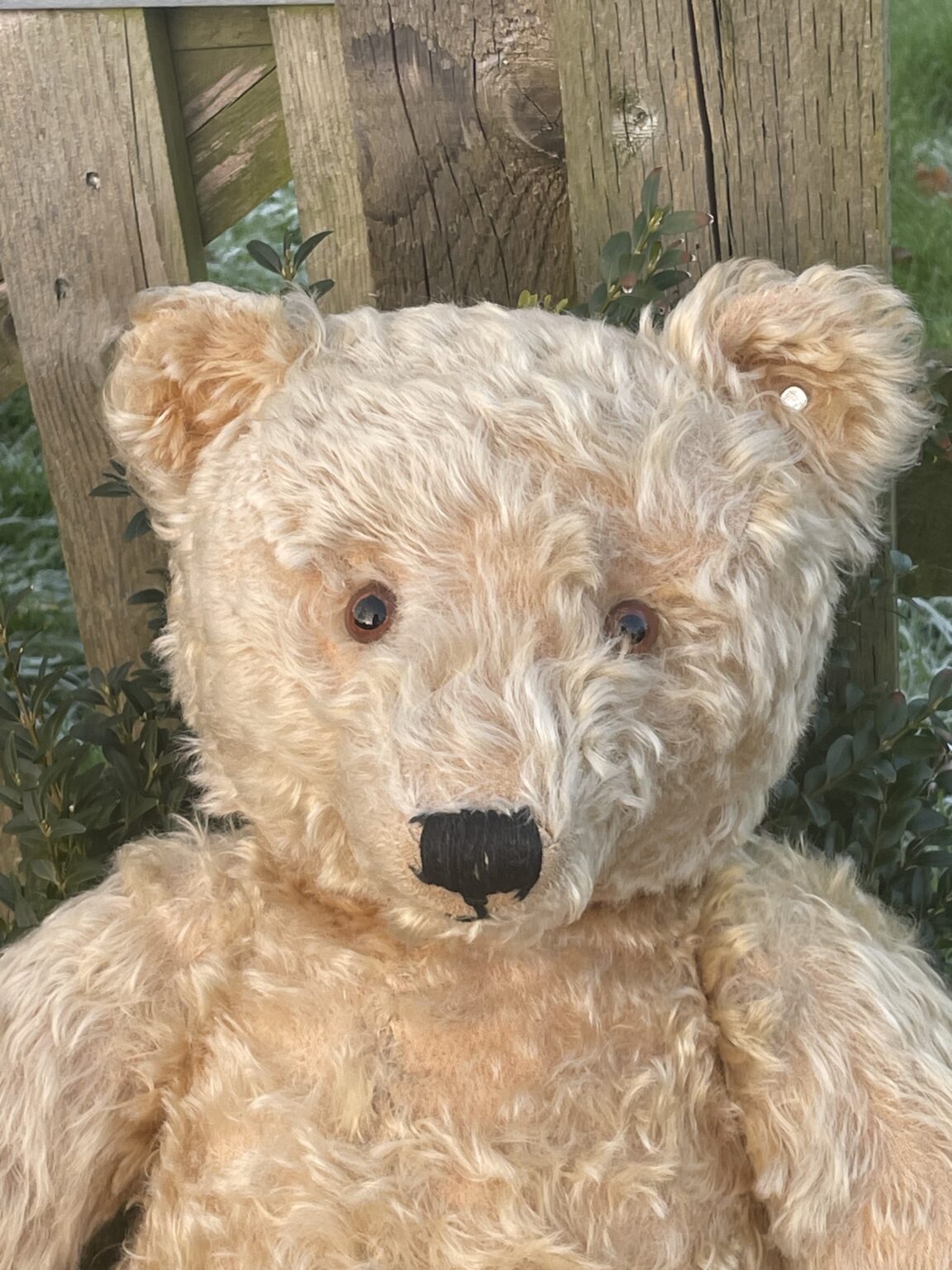 Old Teddy Bear Shop – Old & Vintage Teddy Bears & Friends