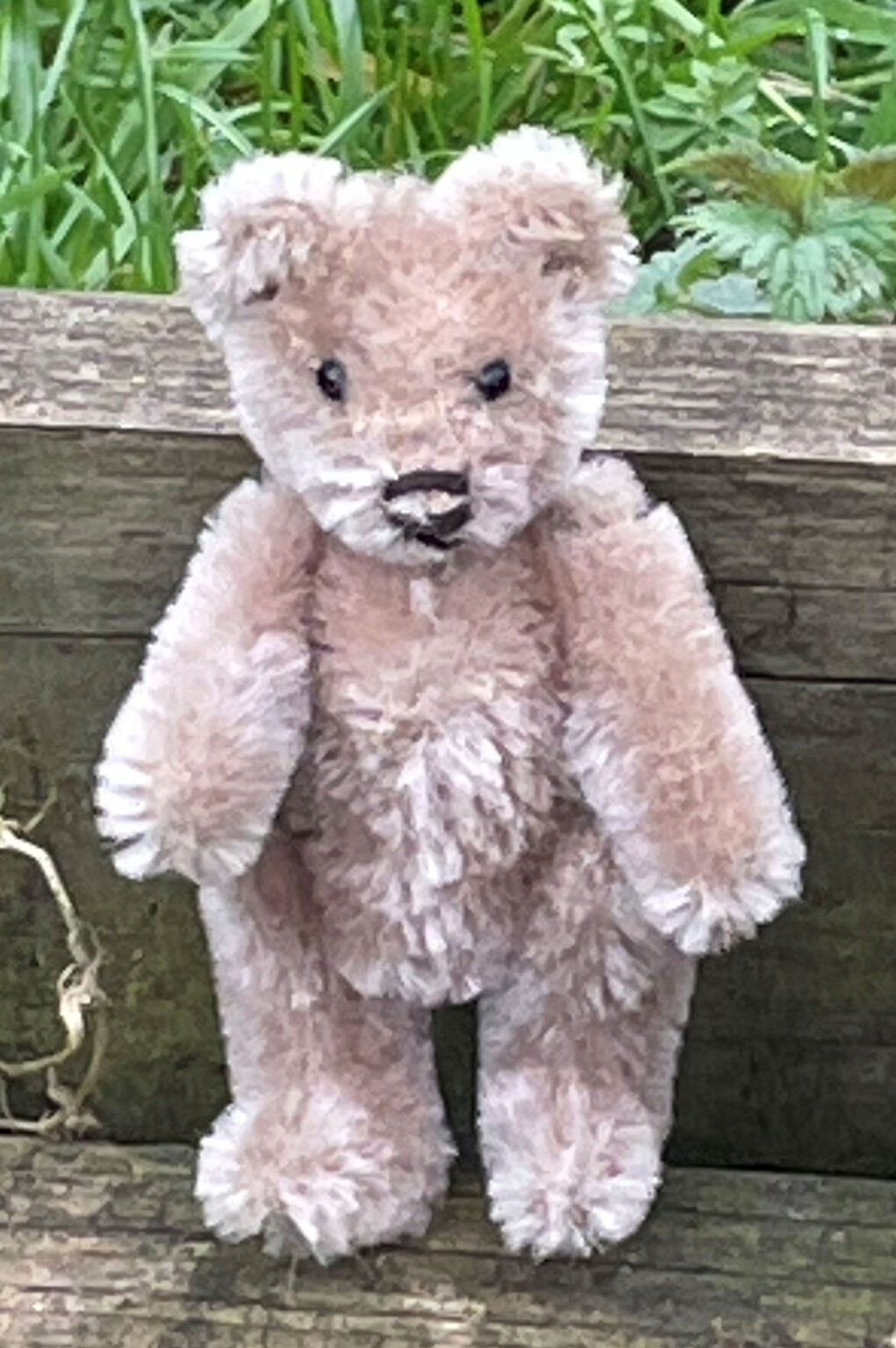 Miniature Steiff Bears – Old Teddy Bear Shop