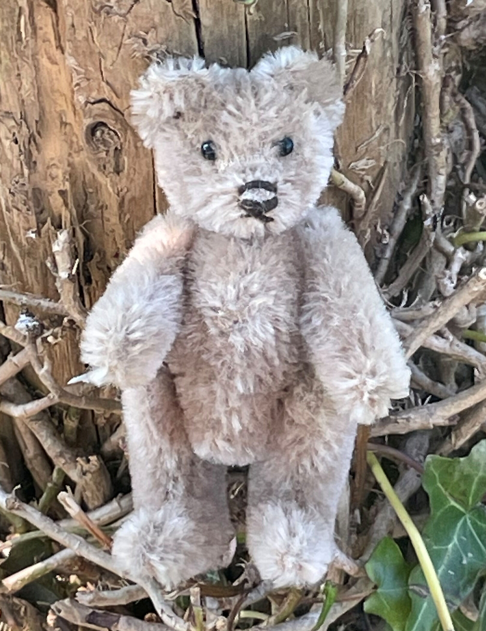 Miniature Steiff Bears – Old Teddy Bear Shop