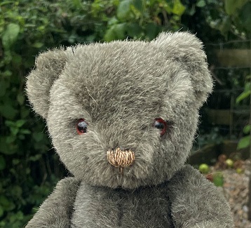 Older British Bears – Old Teddy Bear Shop