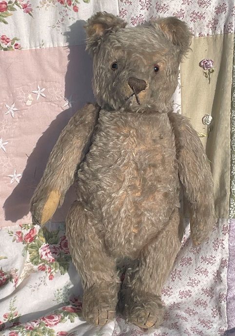 Old Steiff Bears – Old Teddy Bear Shop