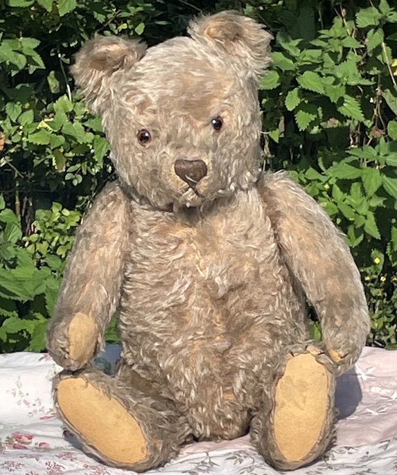 Old Steiff Bears – Old Teddy Bear Shop