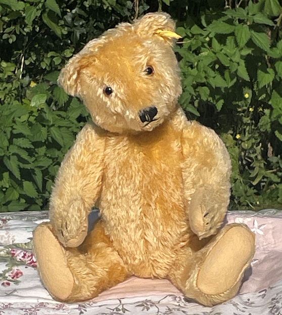Old Steiff Bears – Old Teddy Bear Shop
