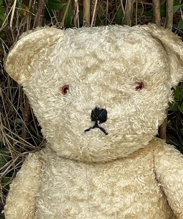 Older British Bears – Old Teddy Bear Shop