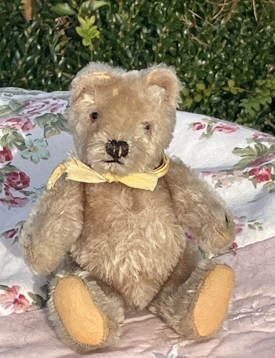 Old Steiff Bears – Old Teddy Bear Shop