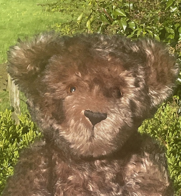 Large Vintage Bears – Old Teddy Bear Shop