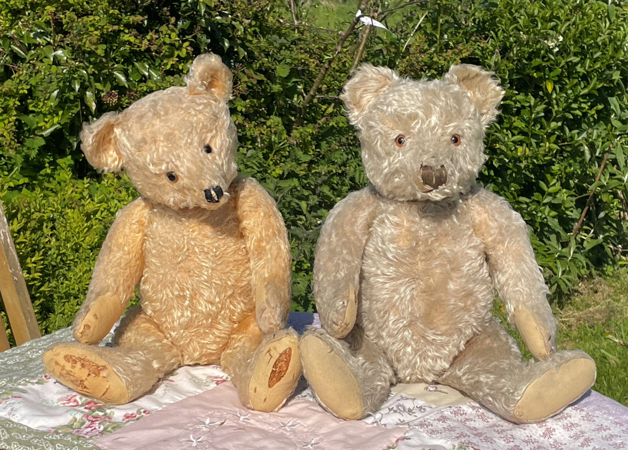 Large antique, old Steiff teddy bears for sale – Old Teddy Bear Shop