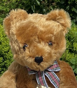 Hermann Bears – Old Teddy Bear Shop
