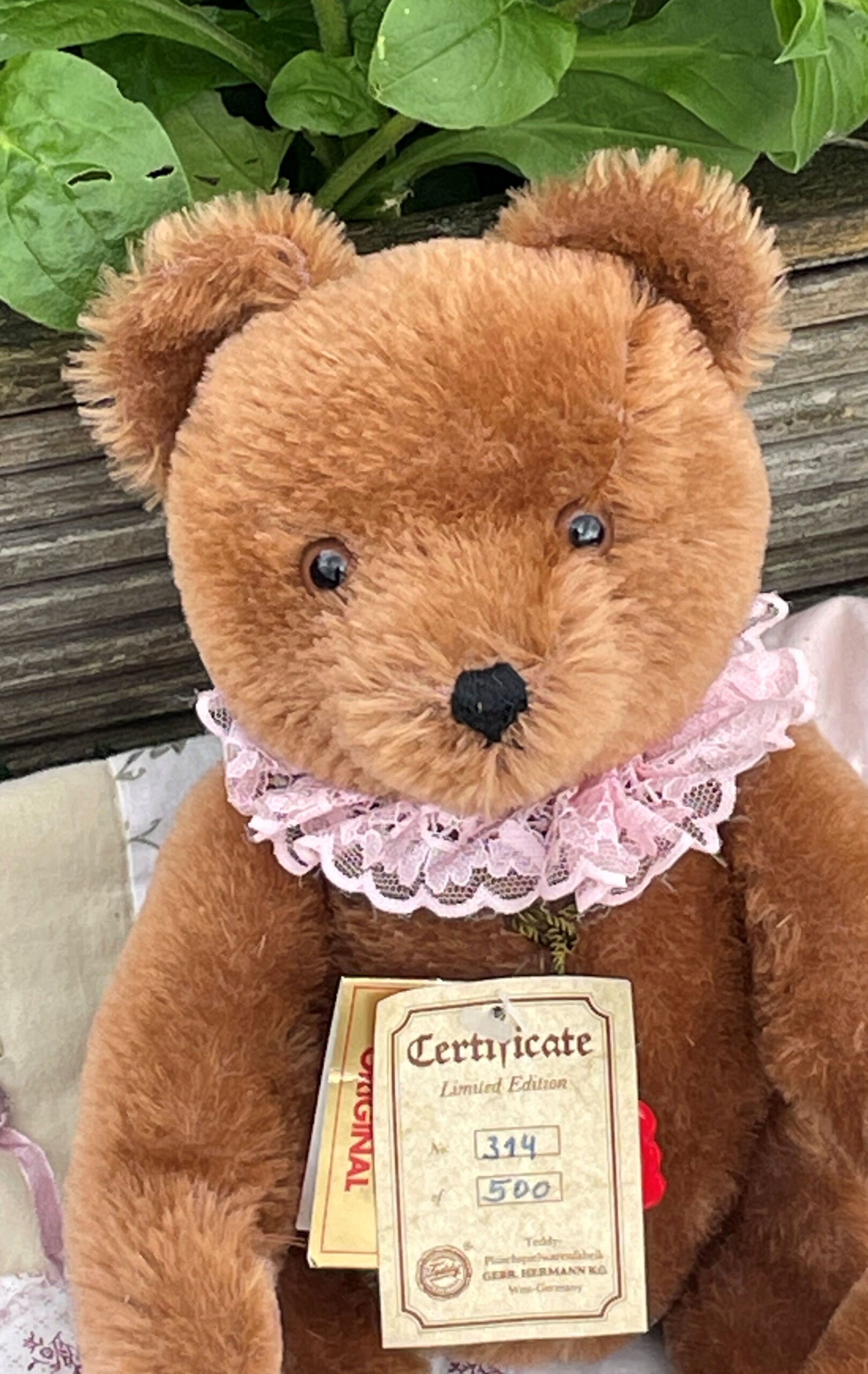 Hermann Bears – Old Teddy Bear Shop