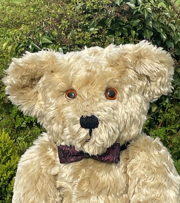 Large Vintage Bears – Old Teddy Bear Shop