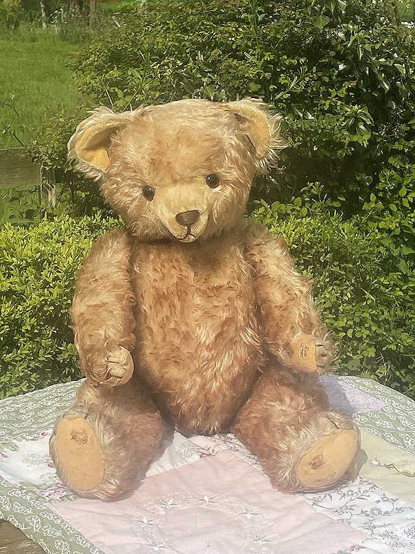 Antique German / European Bears – Old Teddy Bear Shop