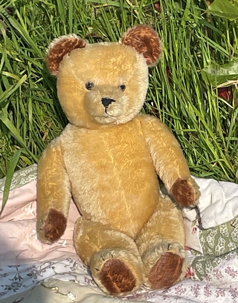 Old Teddy Bear Shop – Old & Vintage Teddy Bears & Friends