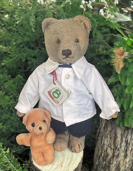 Old Steiff Bears – Old Teddy Bear Shop