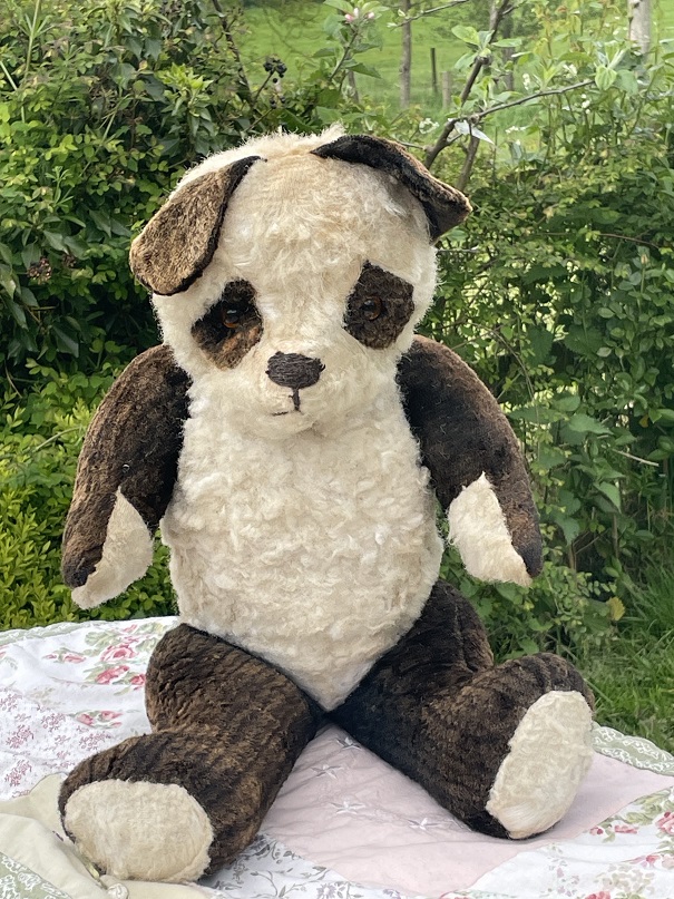 Old British UK Bears – Old Teddy Bear Shop