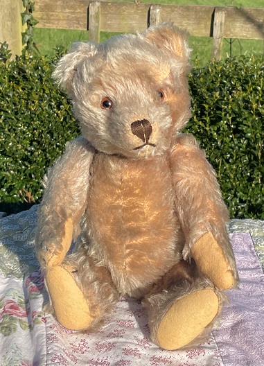 Old Steiff Bears – Old Teddy Bear Shop