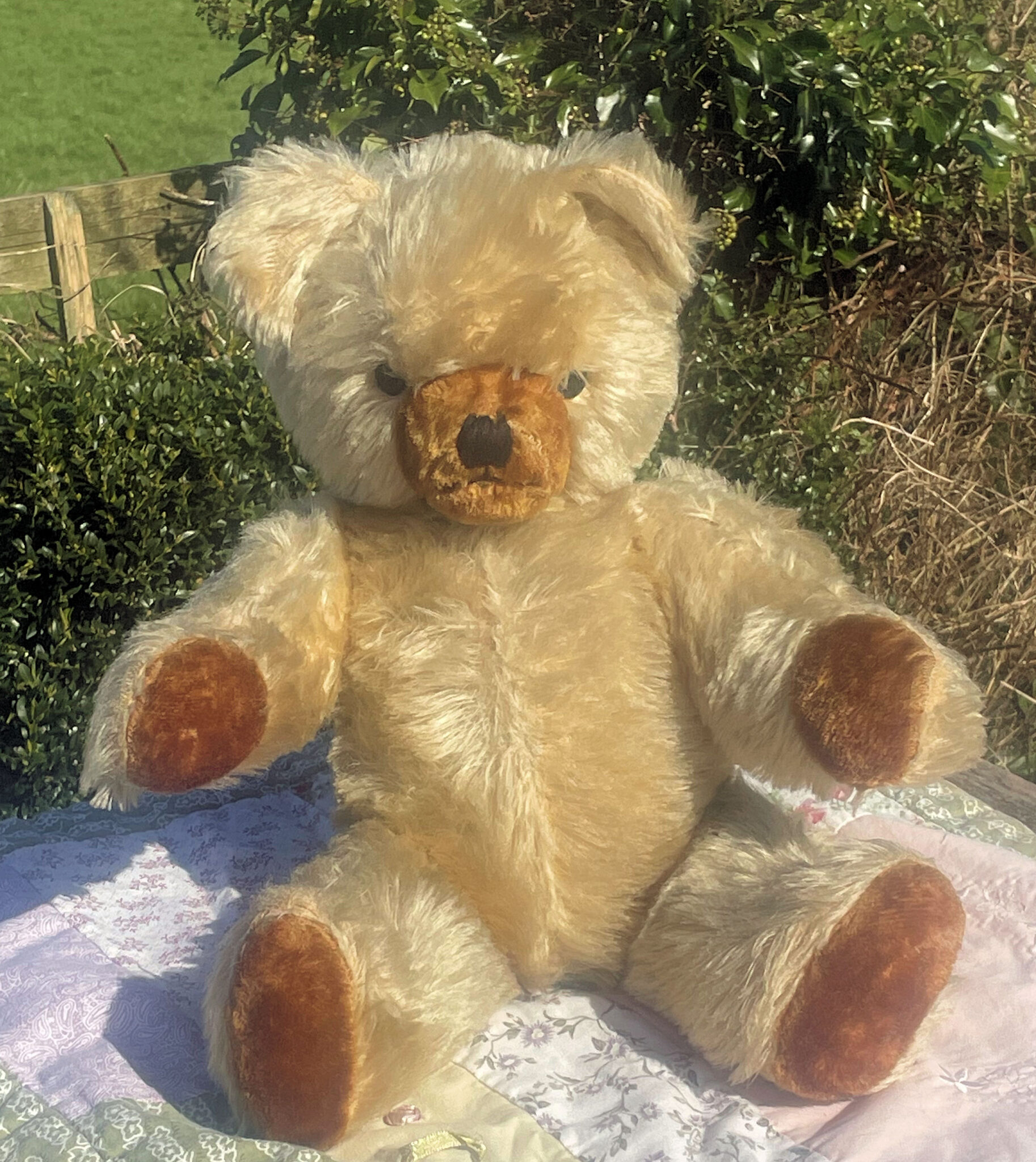 Childhood Bears 1940s-1960s – Old Teddy Bear Shop