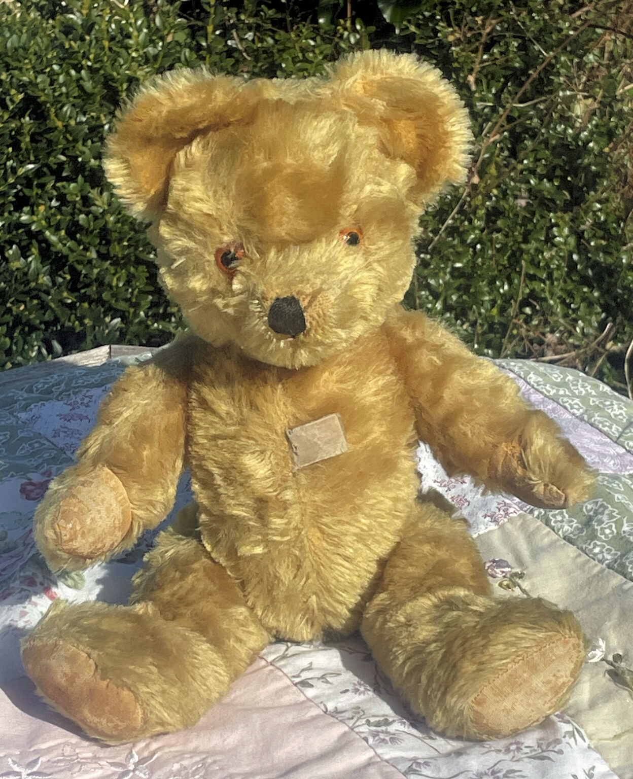 Childhood Bears 1940s-1960s – Old Teddy Bear Shop