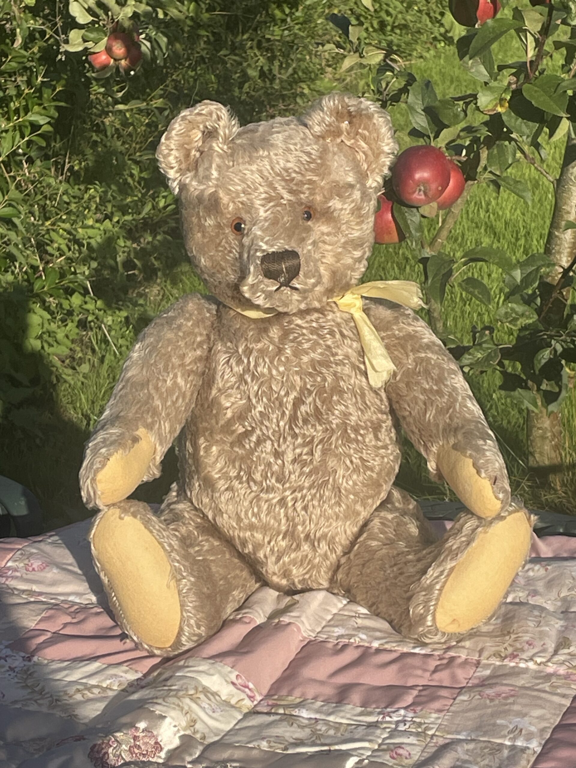 Old Teddy Bear Shop – Old & Vintage Teddy Bears & Friends