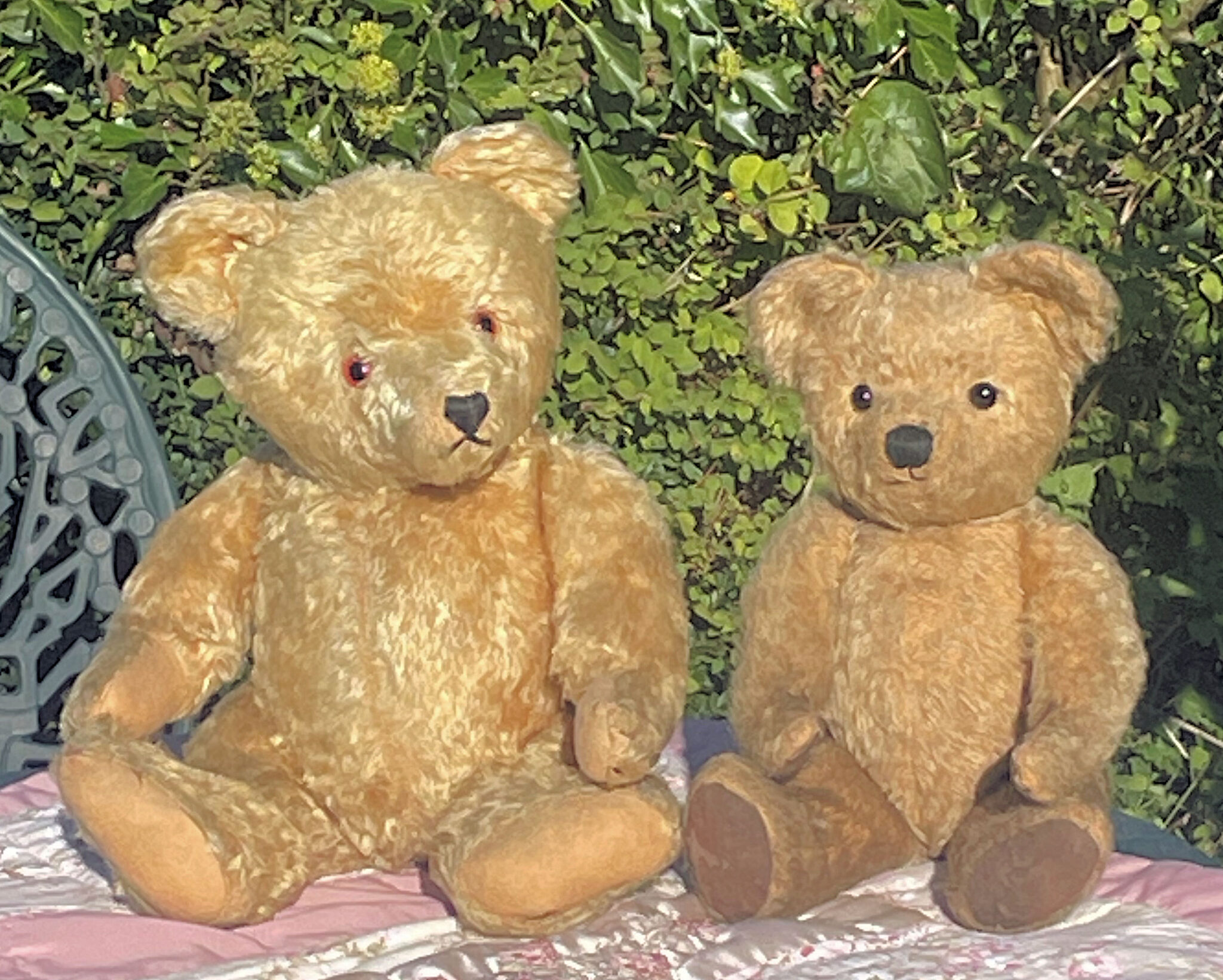 We buy old, antique, vintage teddy bears – Old Teddy Bear Shop