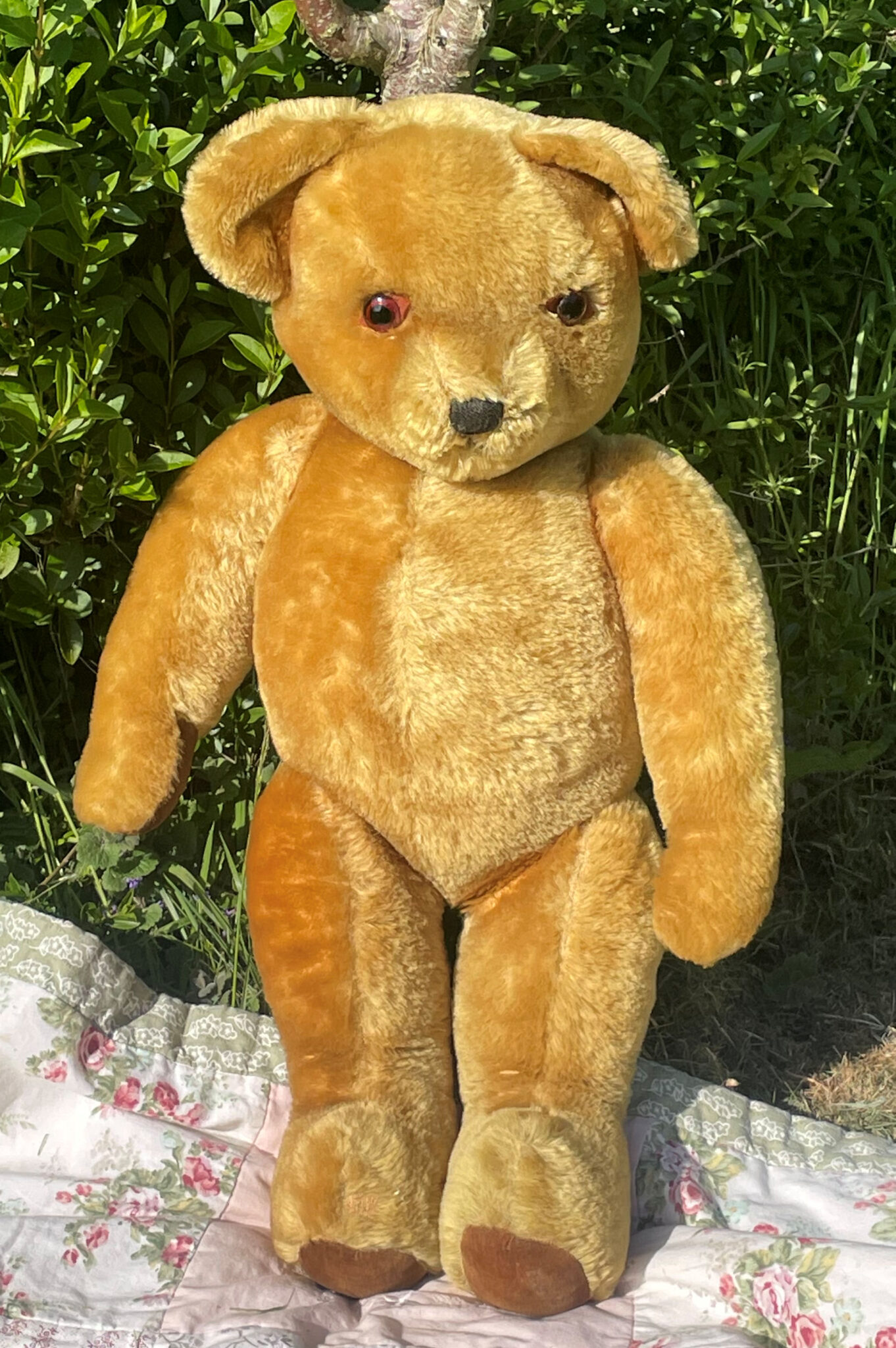 Childhood Bears 1940s-1960s – Old Teddy Bear Shop